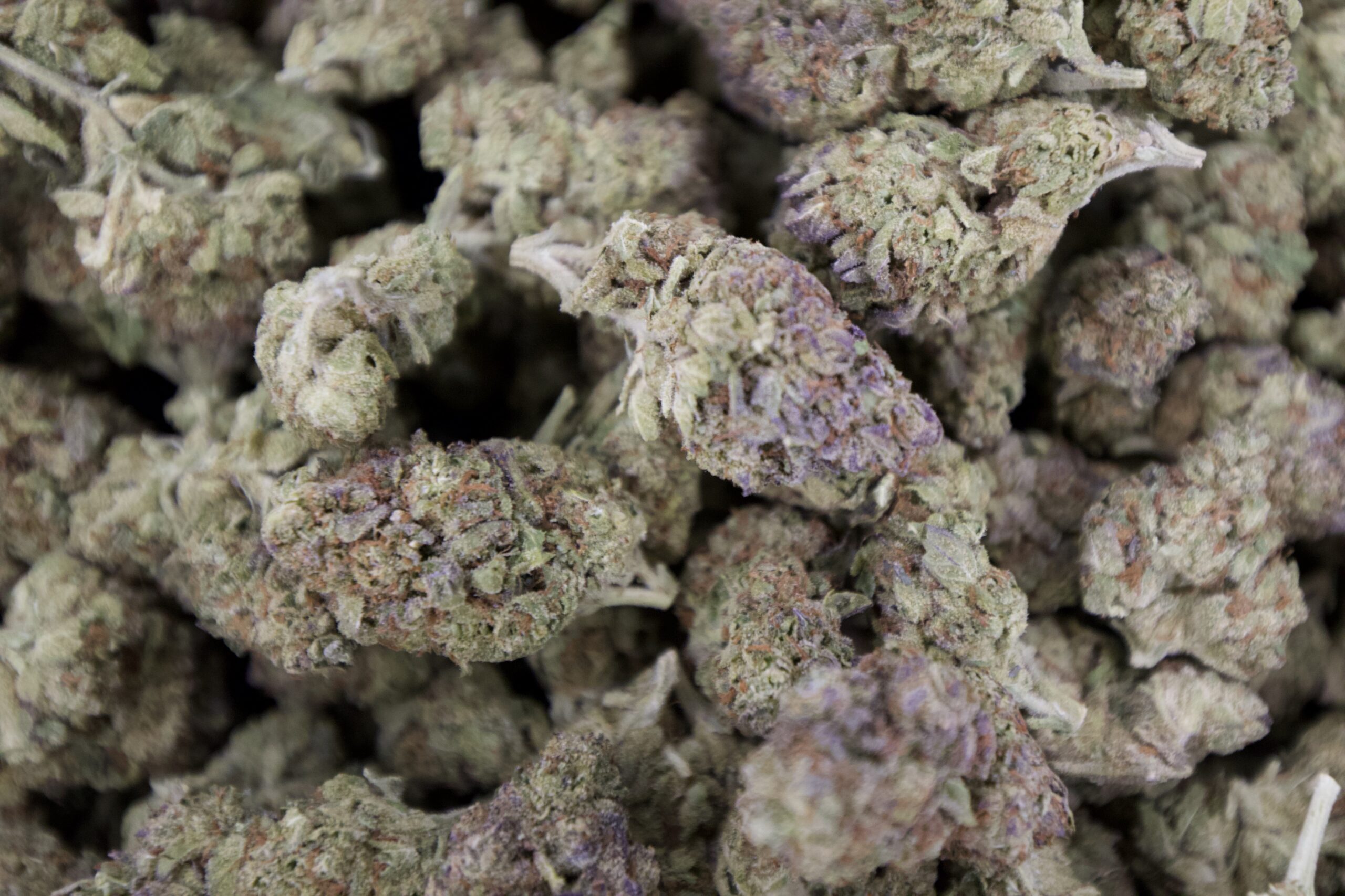 THCa Sticky Fingers (HYBRID) – Nebula Labz